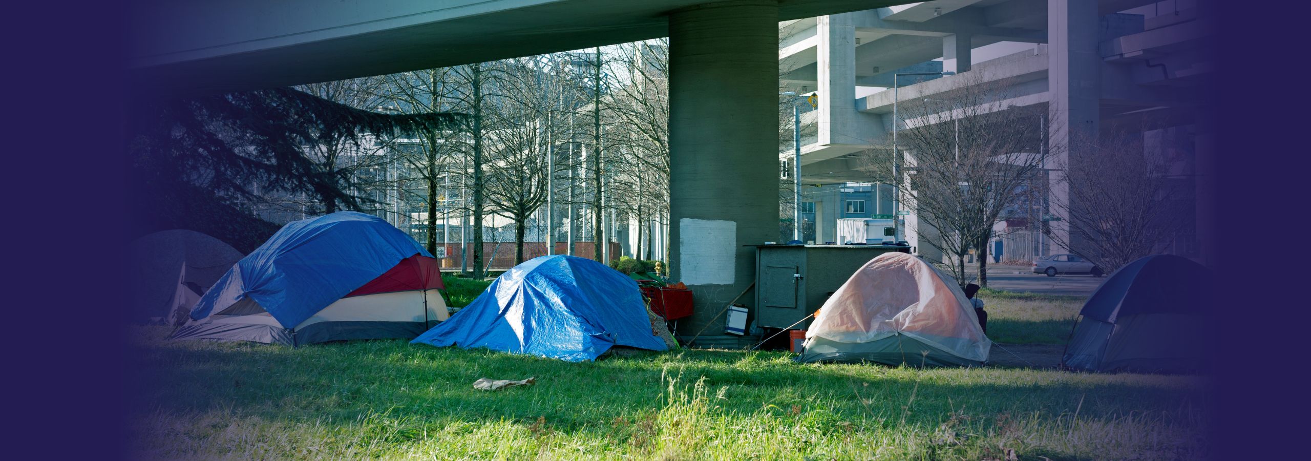Families and young people becoming the face of Queensland’s ...
